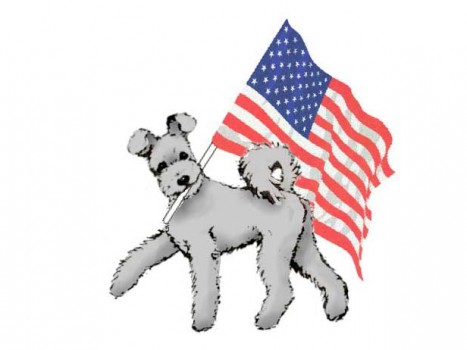 Hungarian Pumi Club of America, Inc